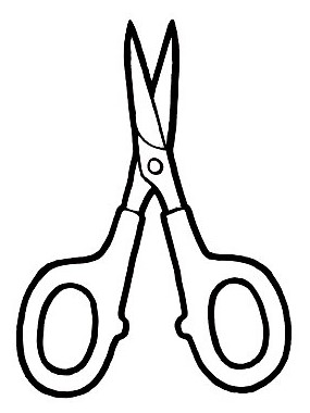 Papunetin kuvapankki