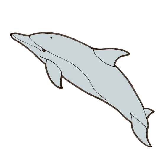 Papunetin kuvapankki