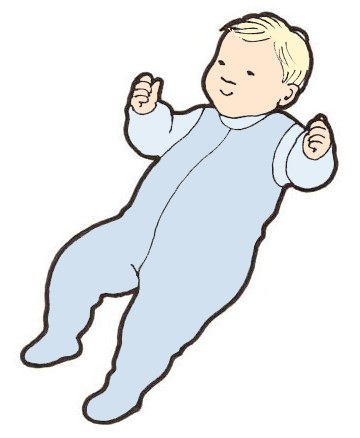 Papunetin kuvapankki