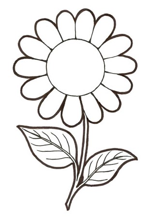 Papunetin kuvapankki