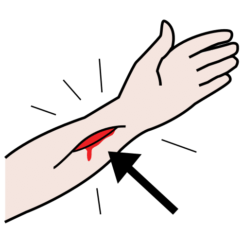 Papunetin kuvapankki