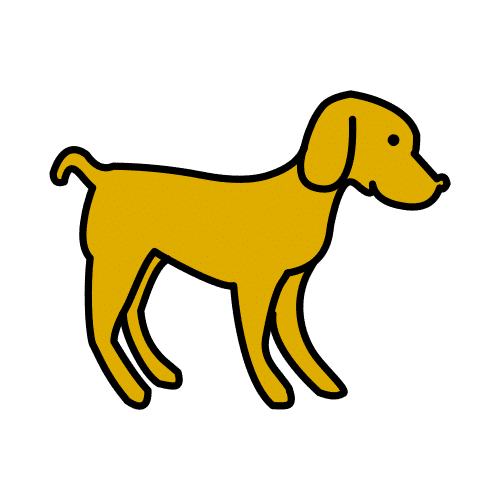 Papunetin kuvapankki