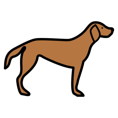 Papunetin kuvapankki