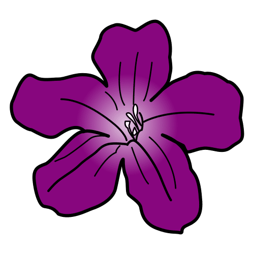 Papunetin kuvapankki