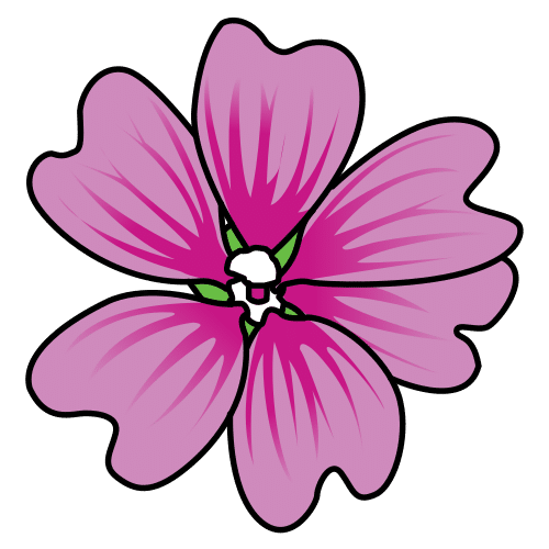 Papunetin kuvapankki