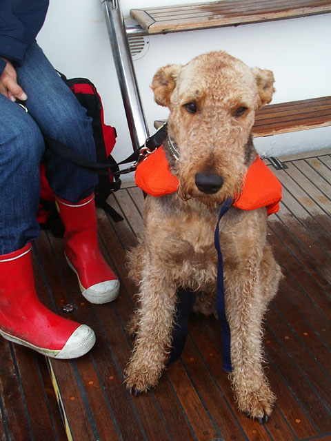 Papunetin kuvapankki