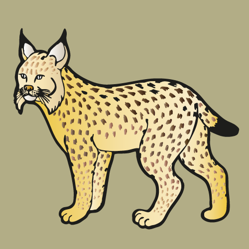 Papunetin kuvapankki