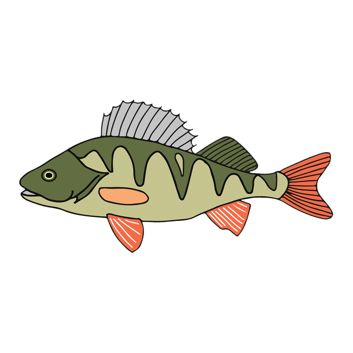 Papunetin kuvapankki