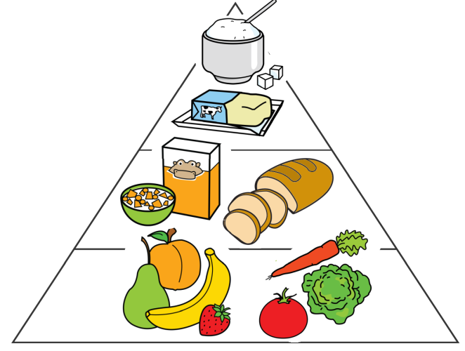 Papunetin kuvapankki