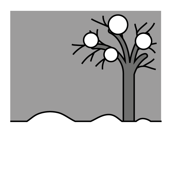 Papunetin kuvapankki