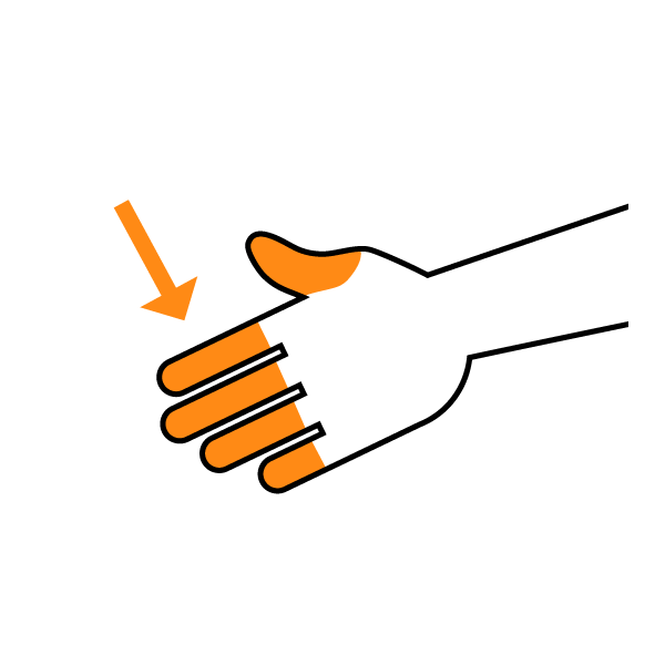 Papunetin kuvapankki