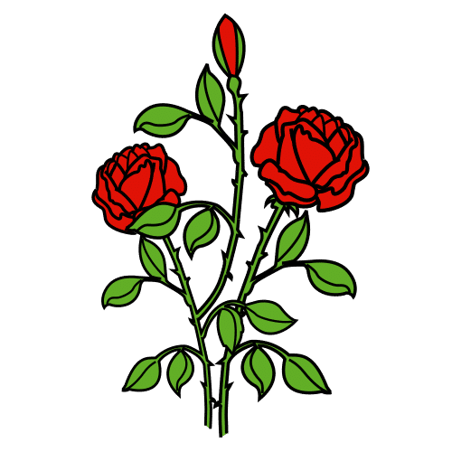 Papunetin kuvapankki
