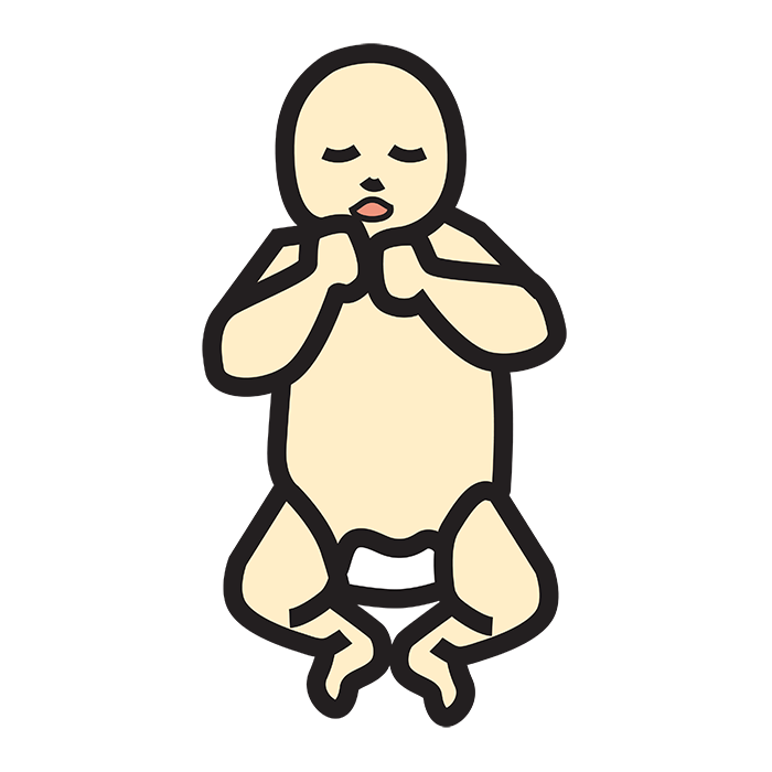 Papunetin kuvapankki
