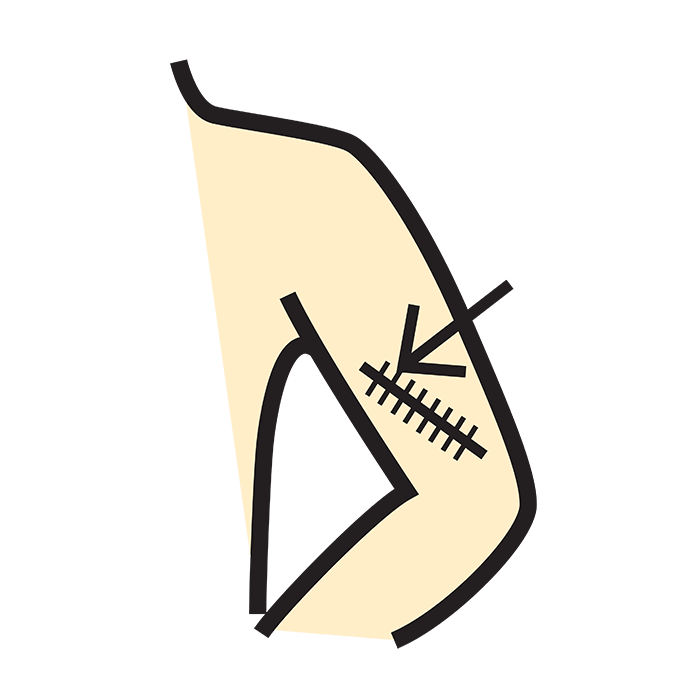 Papunetin kuvapankki