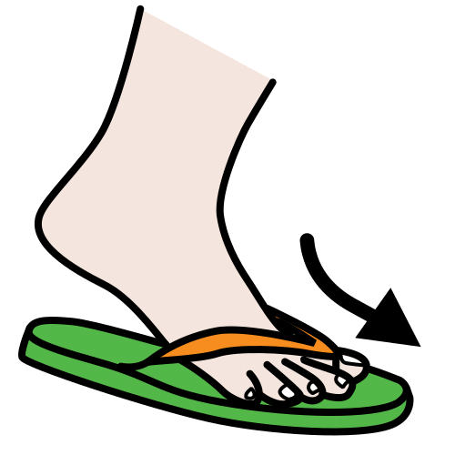 Papunetin kuvapankki