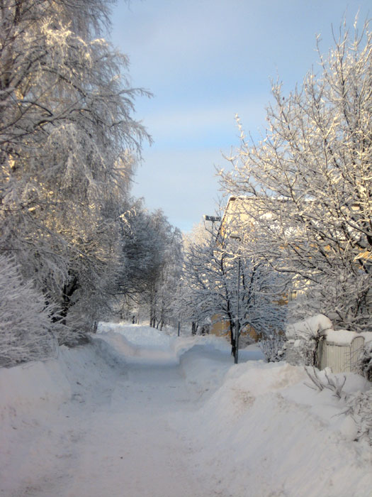 Papunetin kuvapankki