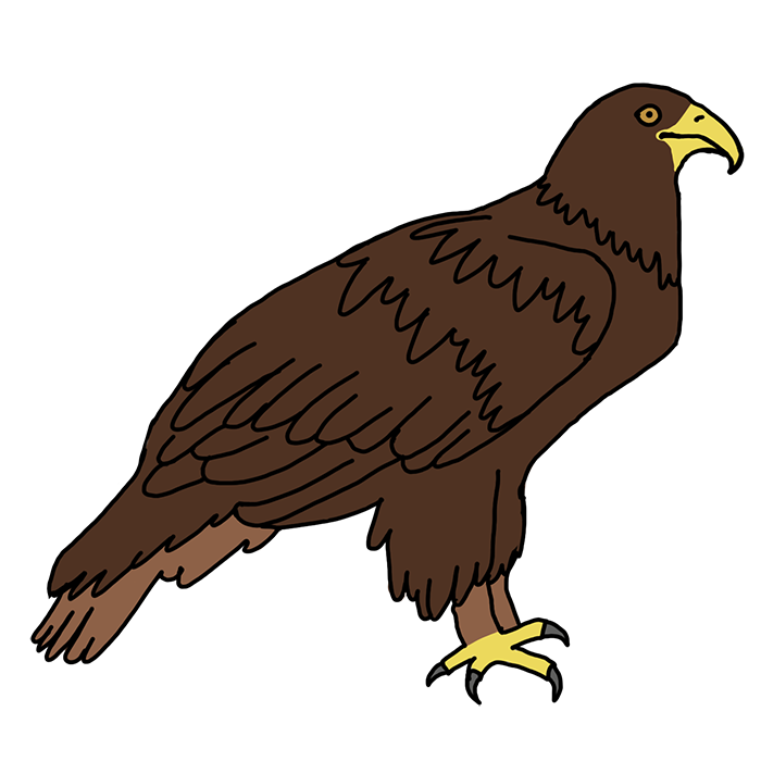 Papunetin Kuvapankki