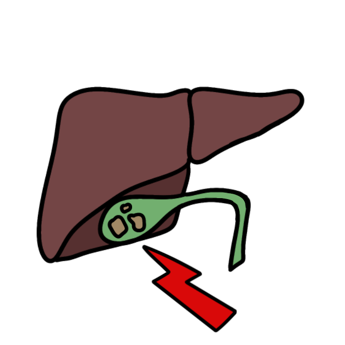 Papunetin kuvapankki