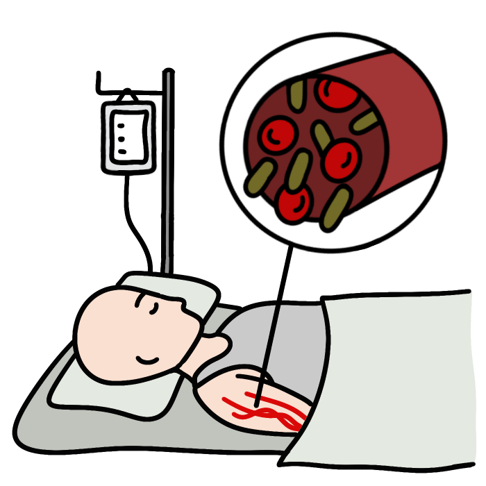 Papunetin kuvapankki