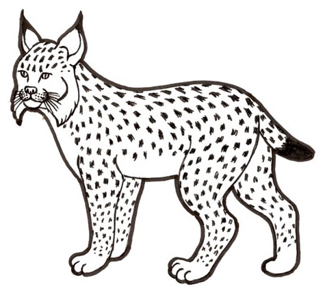 Papunetin kuvapankki