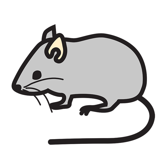 Papunetin kuvapankki