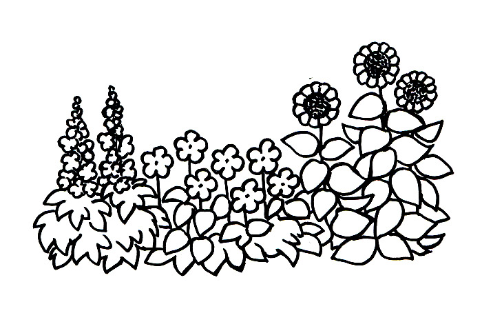 Papunetin kuvapankki