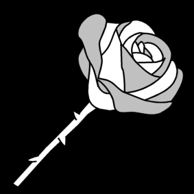 Papunetin kuvapankki
